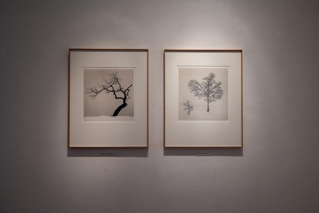 Michael Kenna | Domaine de Chaumont-sur-Loire