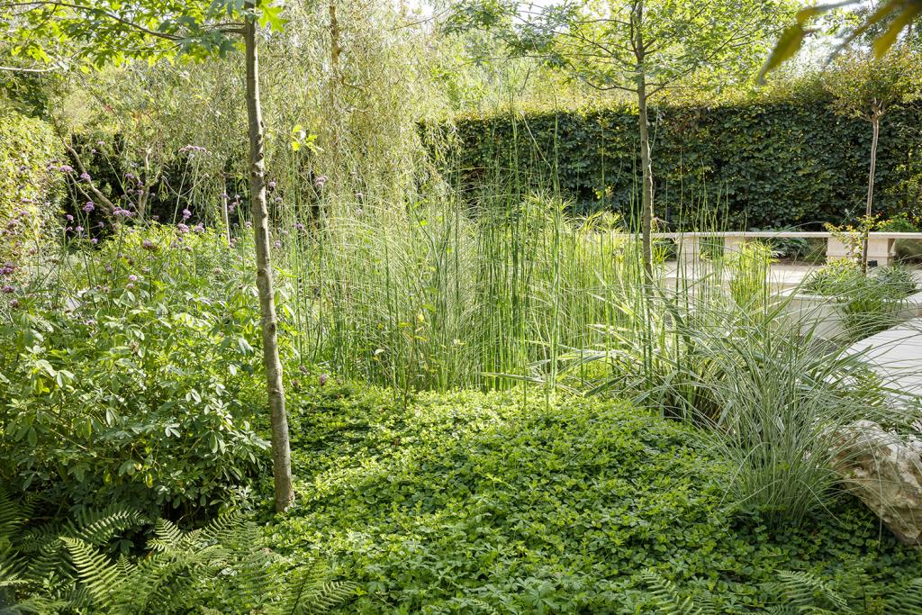 La forêt sacrée | Domaine de Chaumont-sur-Loire