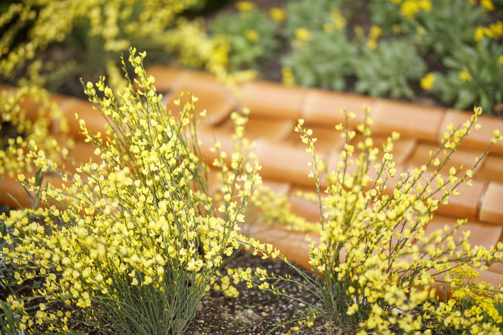 Le jardin de tuiles | Domaine de Chaumont-sur-Loire